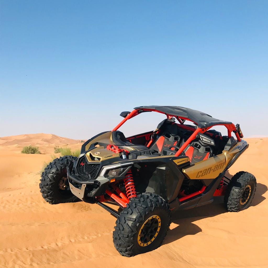 Trip Buggy - Horse Luxury Group